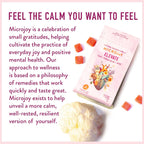 Vegan Lion's Mane gummies for brain support