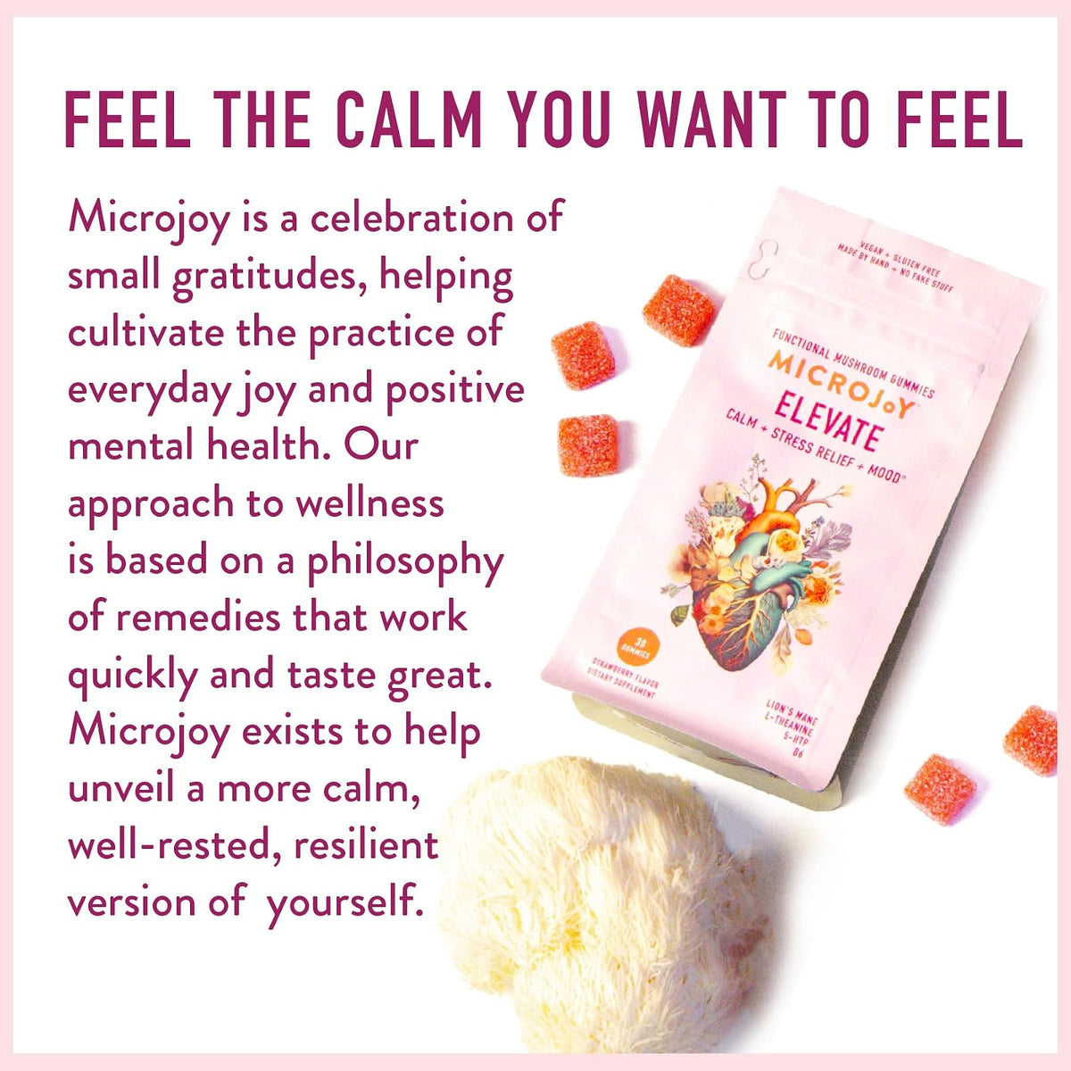 Vegan Lion's Mane gummies for brain support