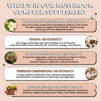 vegan lion's mane mushroom capsules