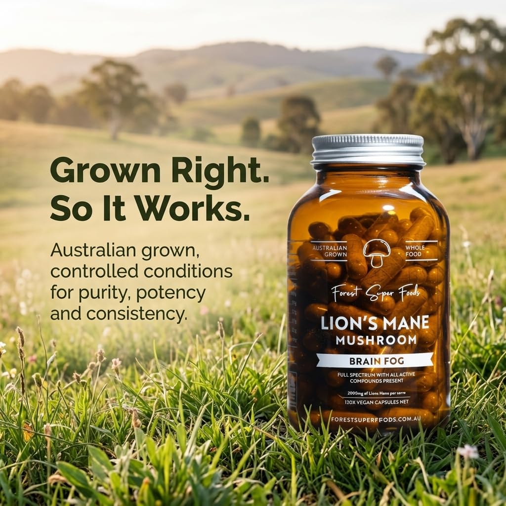 vegan lion's mane mushroom capsules