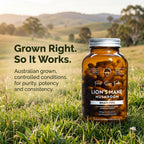 vegan lion's mane mushroom capsules