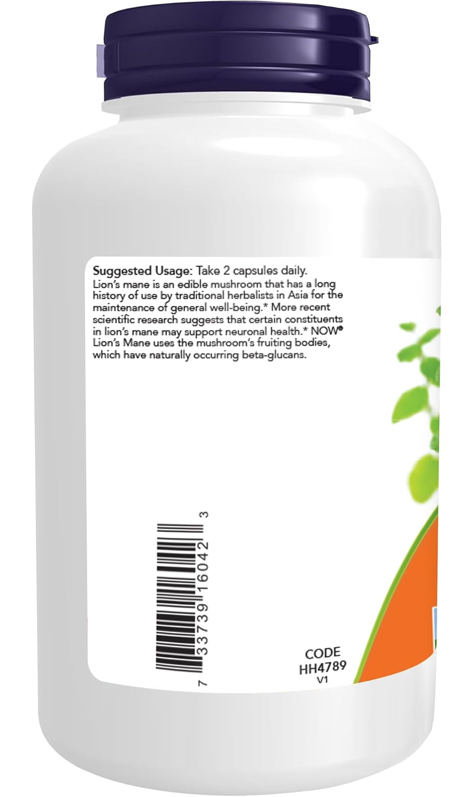 vegan Lion's Mane mushroom capsules