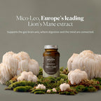 vegan Lion's Mane supplement