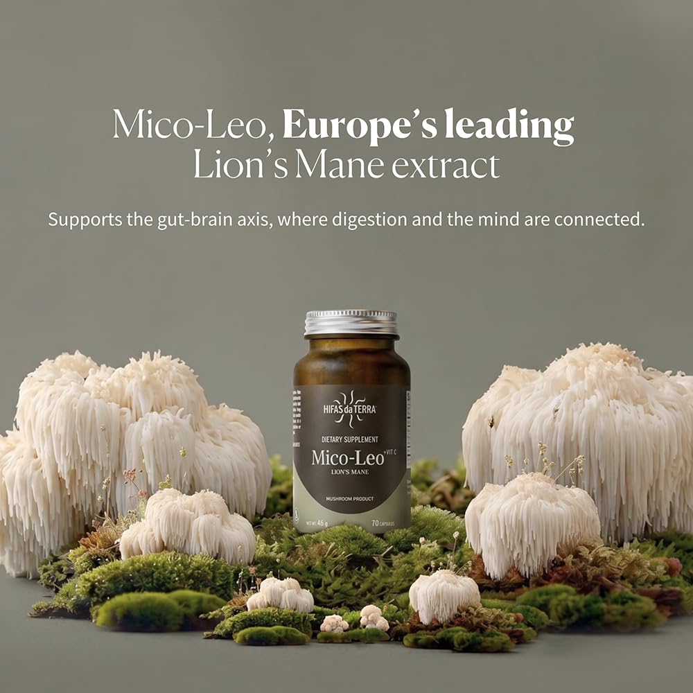 vegan Lion's Mane supplement