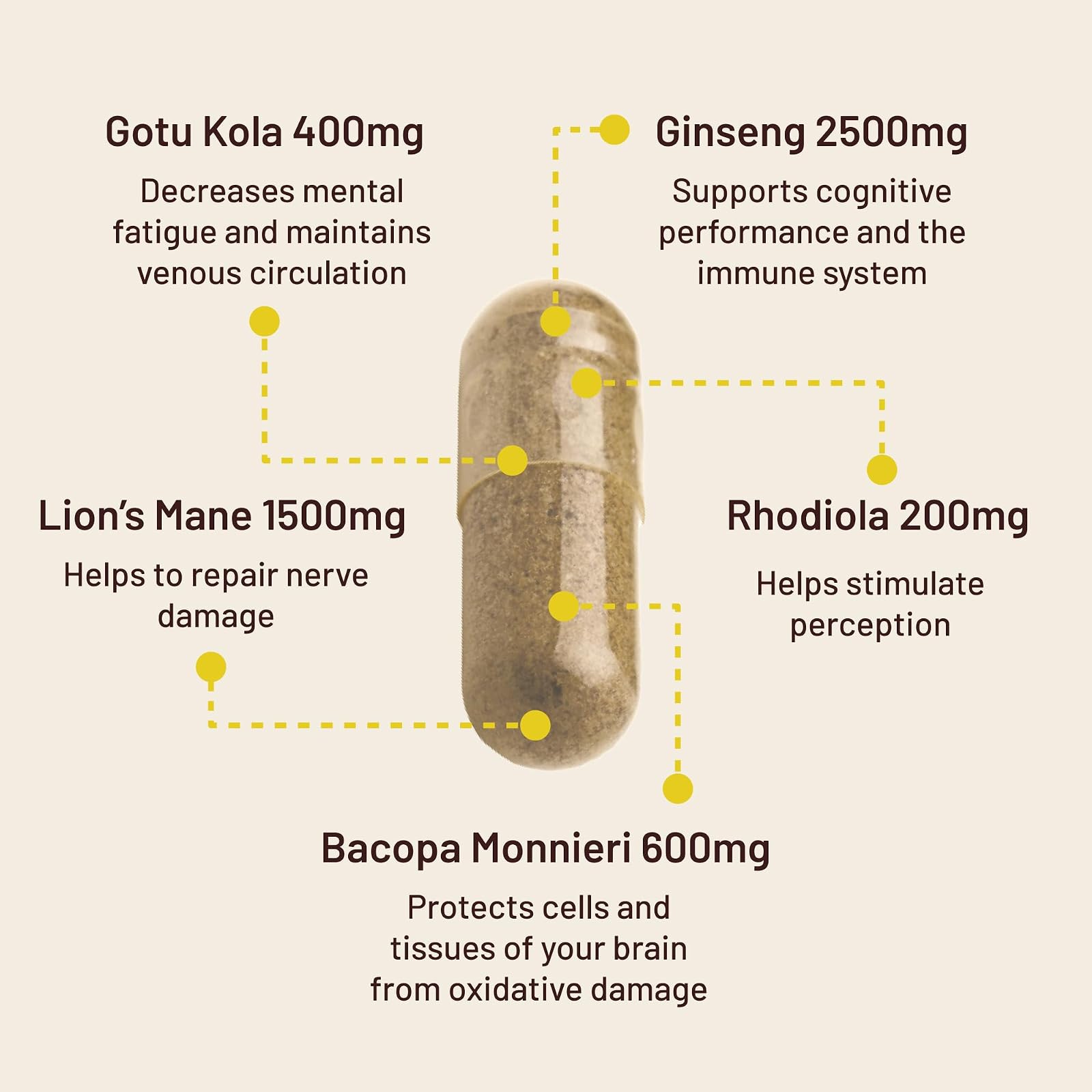 Vegan Lions Mane for cognitive support