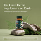 Vegan Maca capsules for endurance