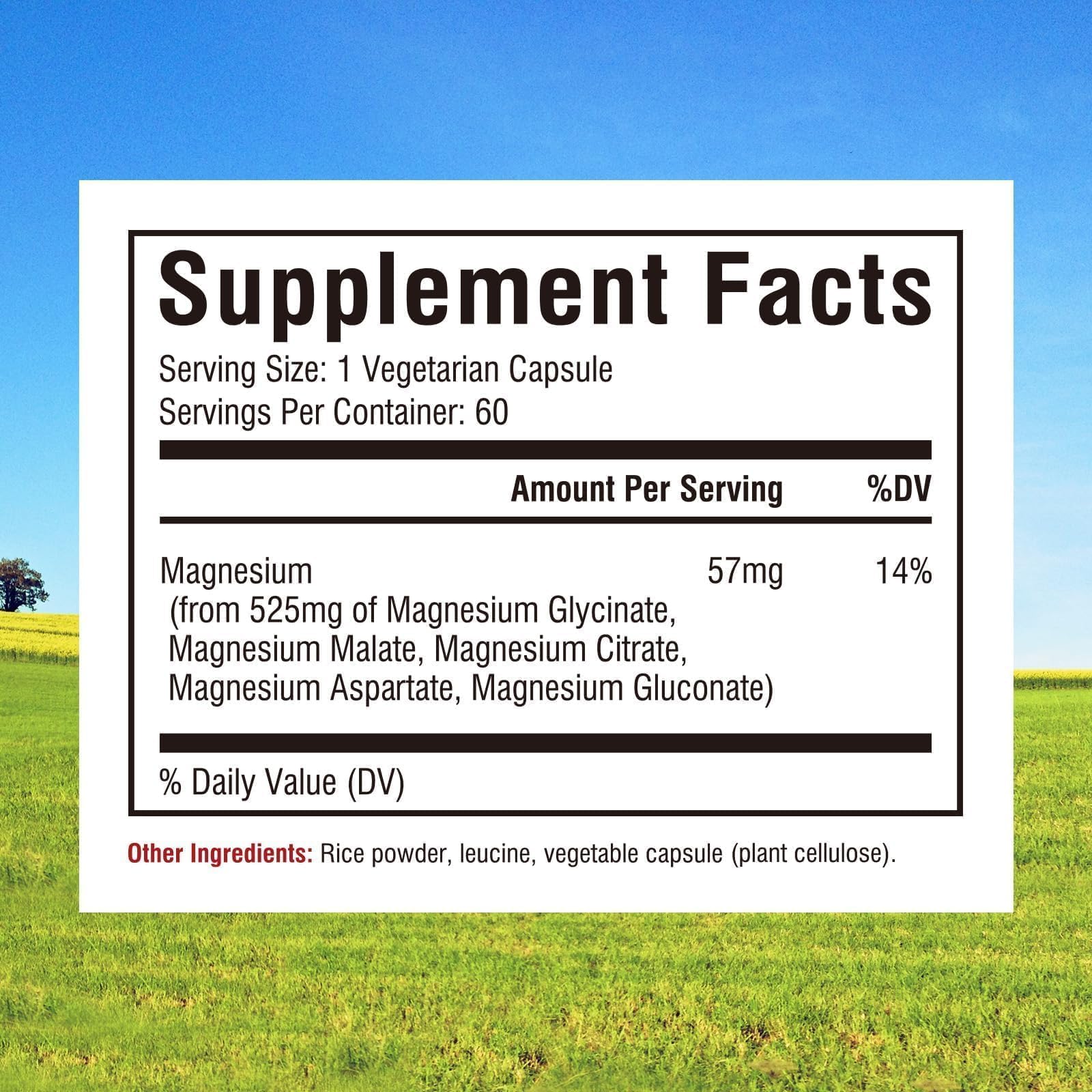 vegan magnesium supplement for energy