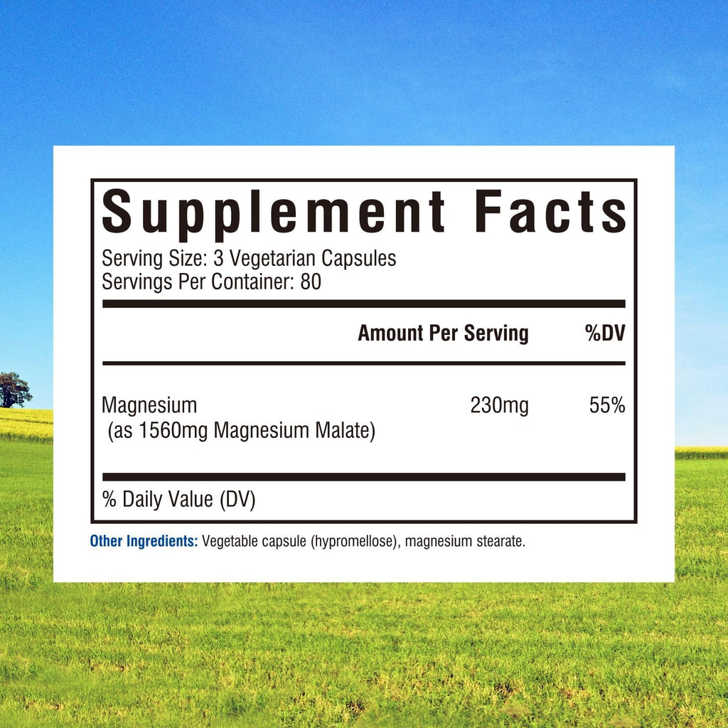 vegan magnesium supplement for energy