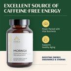 Vegan Moringa capsules for wellness