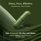 vegan Moringa health supplement