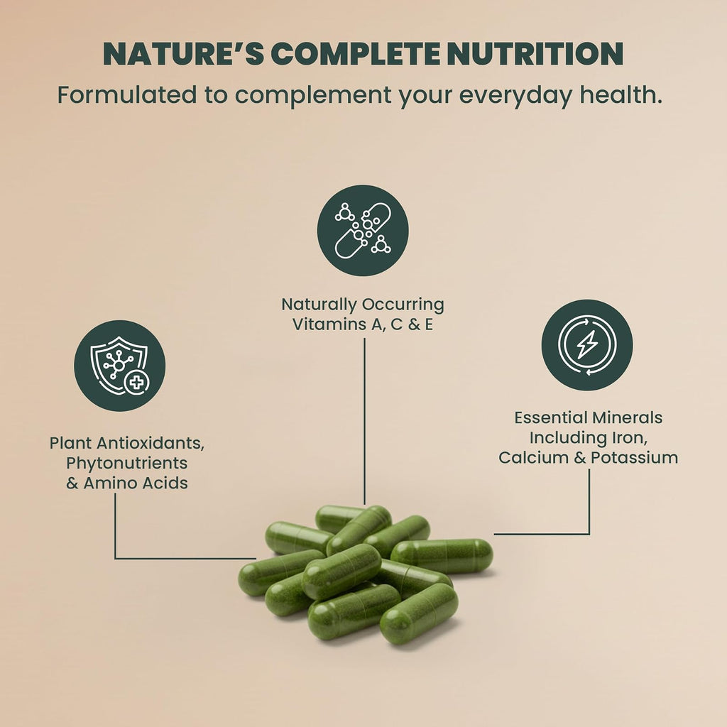 vegan moringa powder for wellness