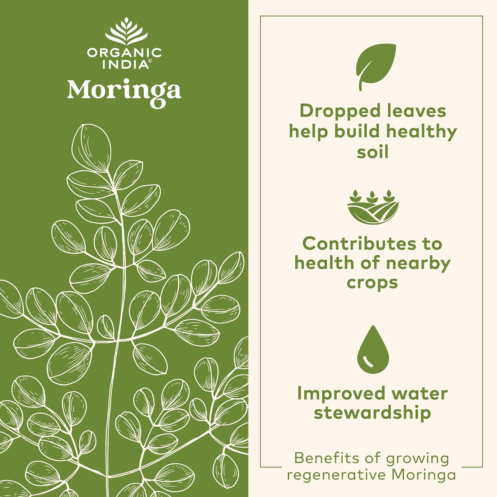 vegan moringa powder option