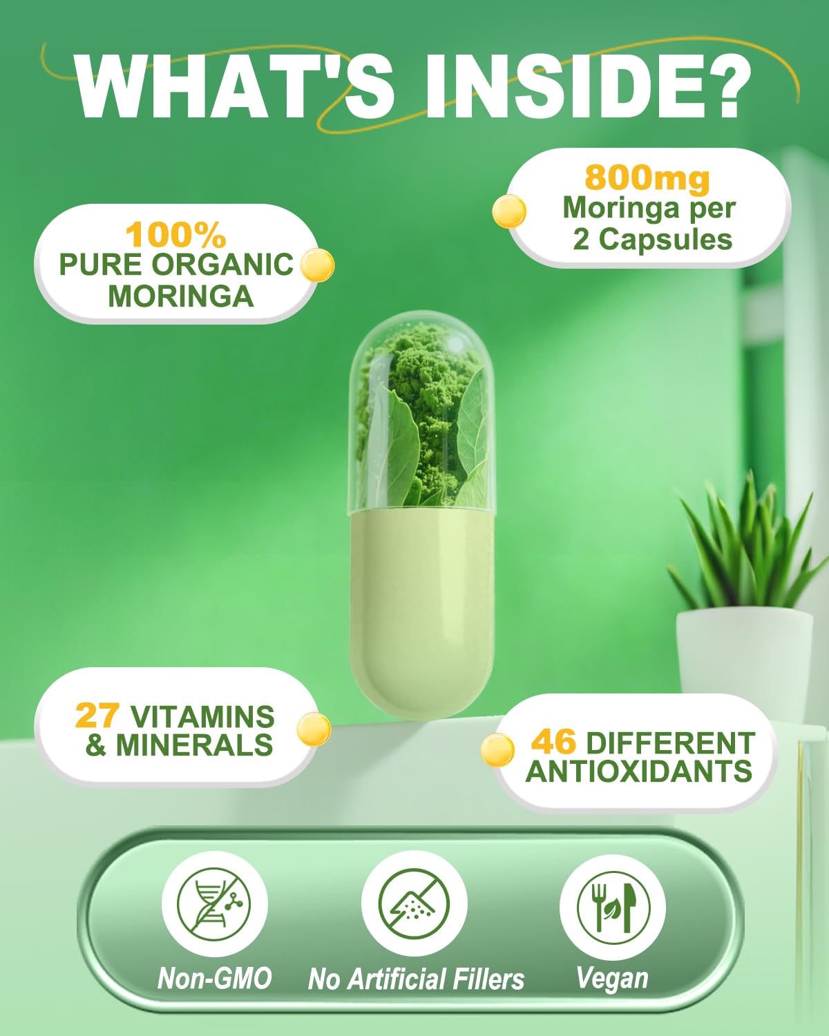 Vegan Moringa supplement for energy