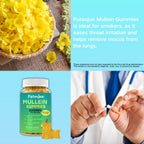 Vegan Mullein gummies for immunity