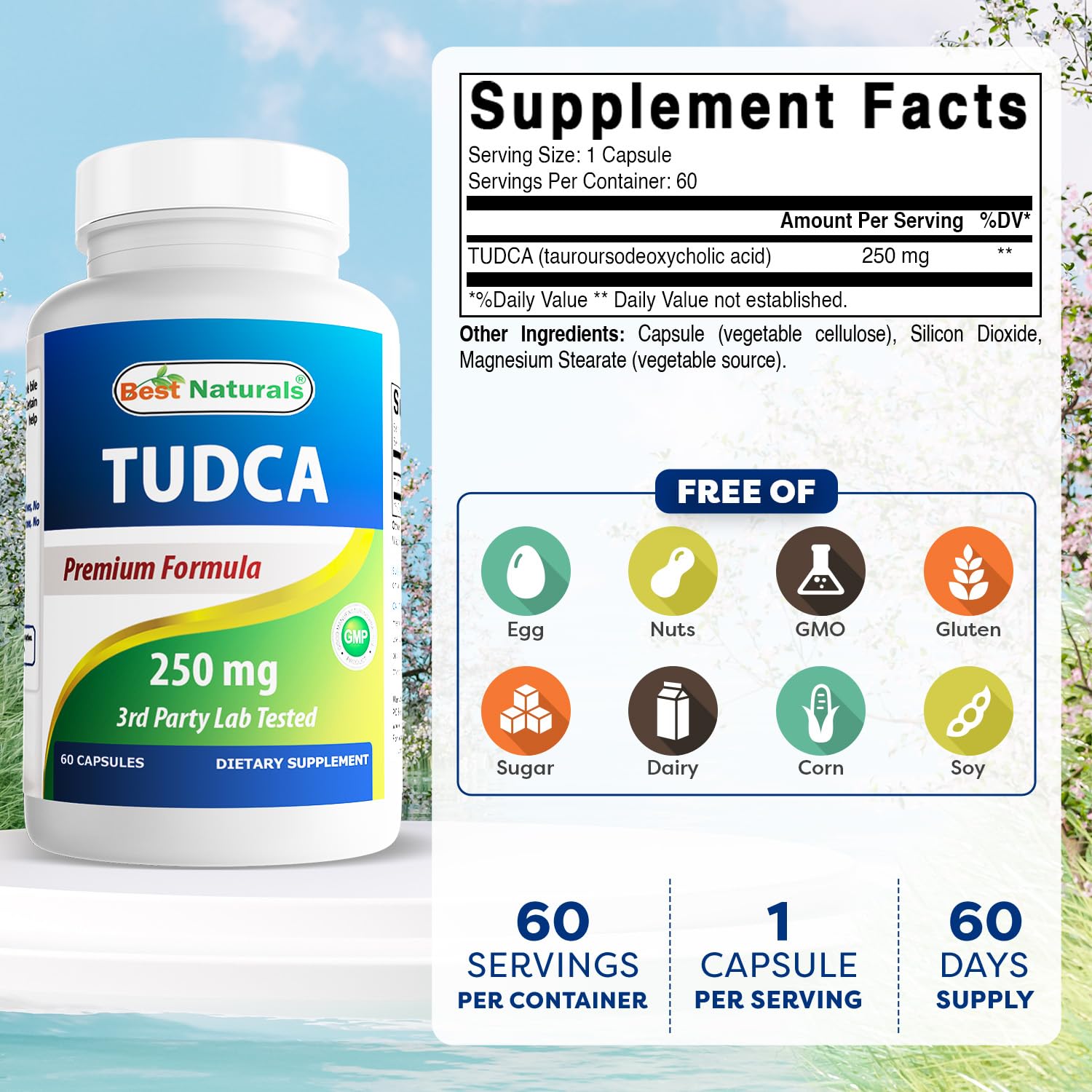vegan multivitamin capsules for everyone