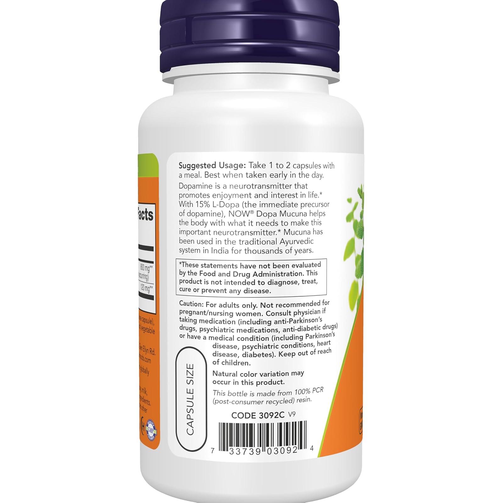 vegan multivitamin for active lifestyles