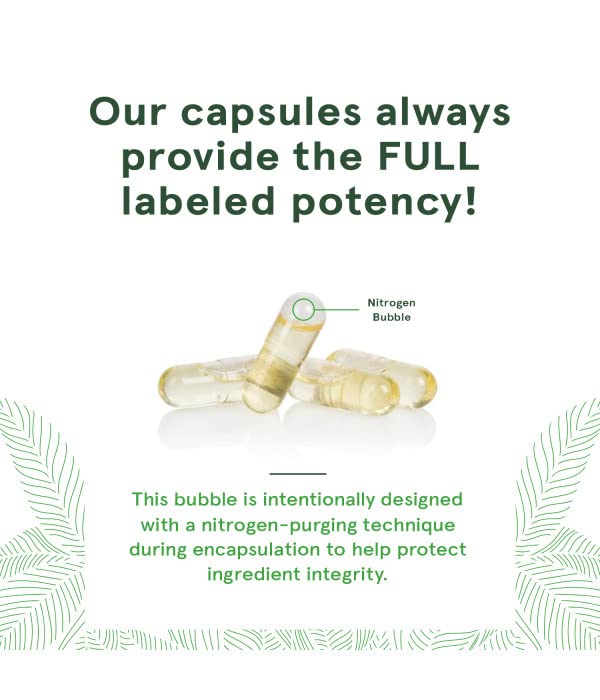 vegan multivitamin for active lifestyles
