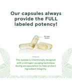 vegan multivitamin for active lifestyles