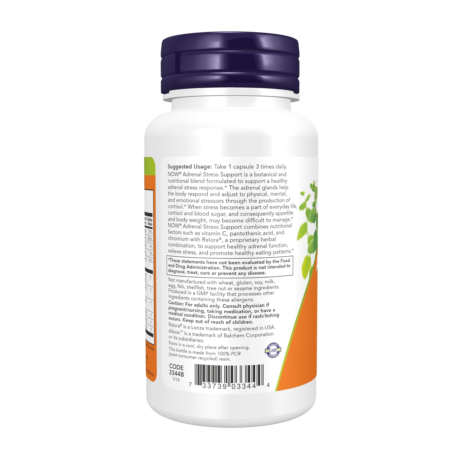 vegan multivitamin for balanced wellness