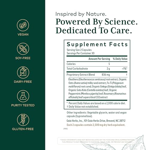 vegan multivitamin for cognitive support