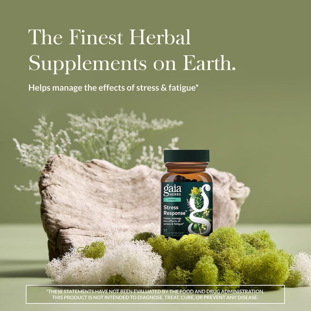 vegan multivitamin for daily wellness