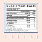 vegan multivitamin for energy support