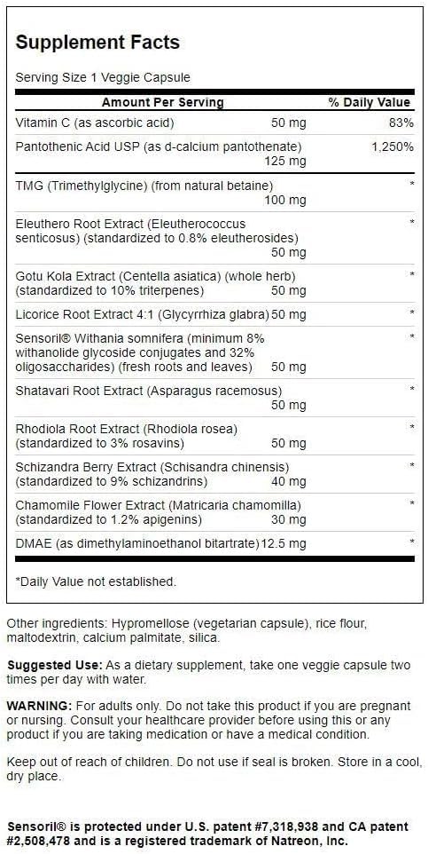 vegan multivitamin for energy support