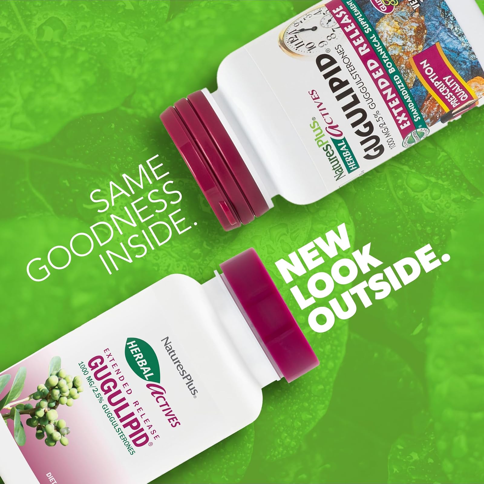 vegan multivitamin for men and women