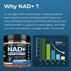 vegan multivitamin for optimal health