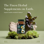 vegan multivitamin for thyroid health