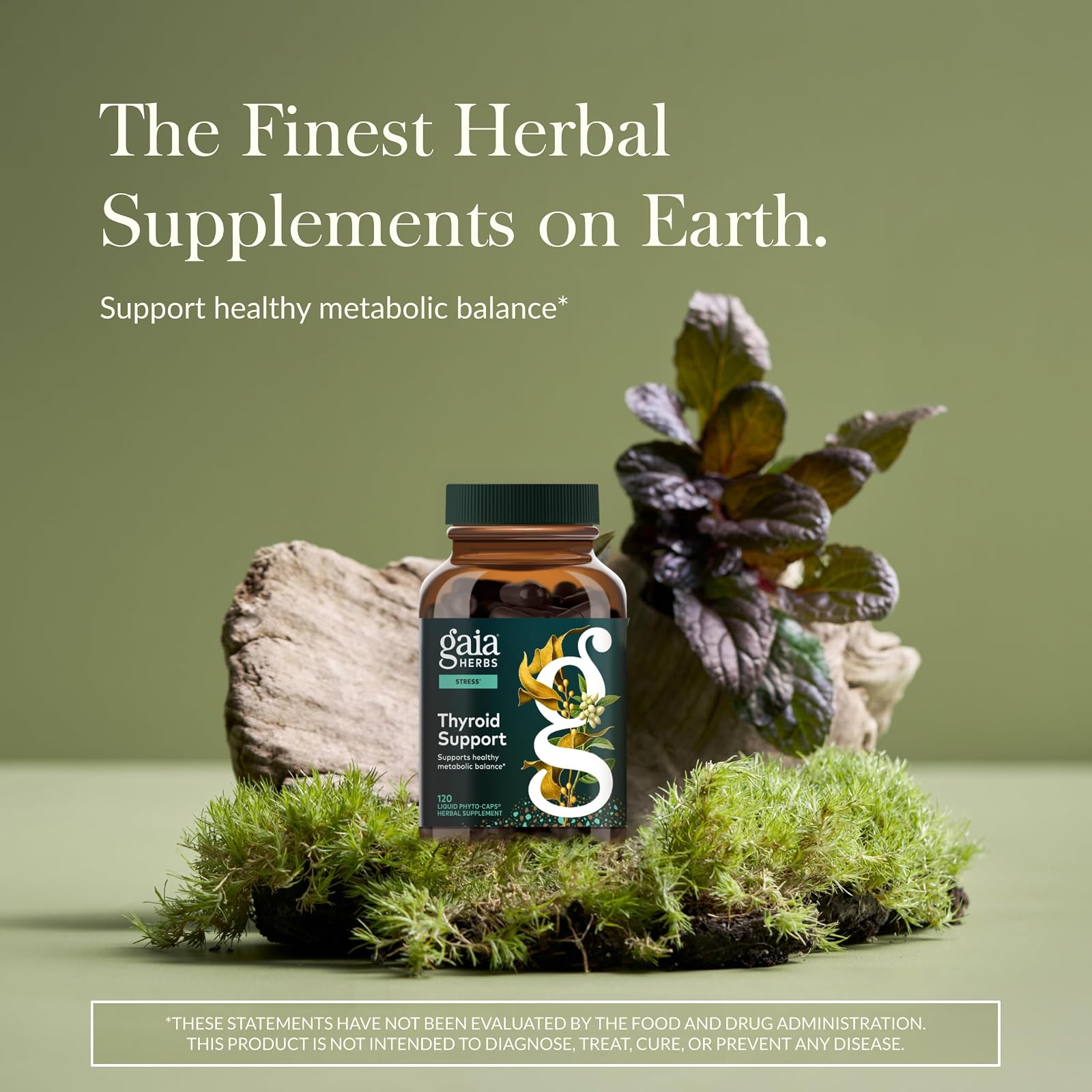 vegan multivitamin for thyroid health