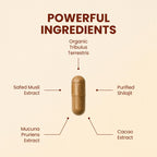 vegan multivitamin for women CHOQ capsules