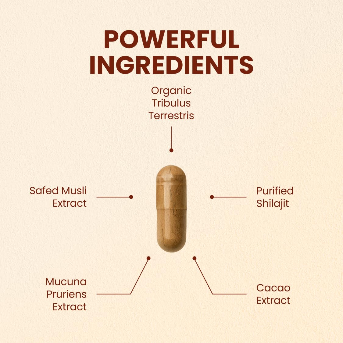 vegan multivitamin for women CHOQ capsules