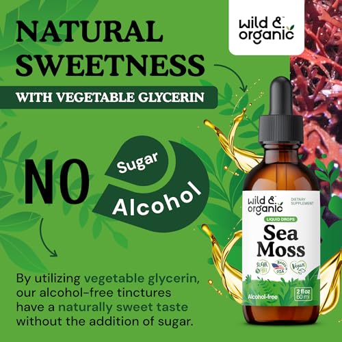 vegan multivitamin liquid formula