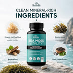vegan multivitamin with sea moss