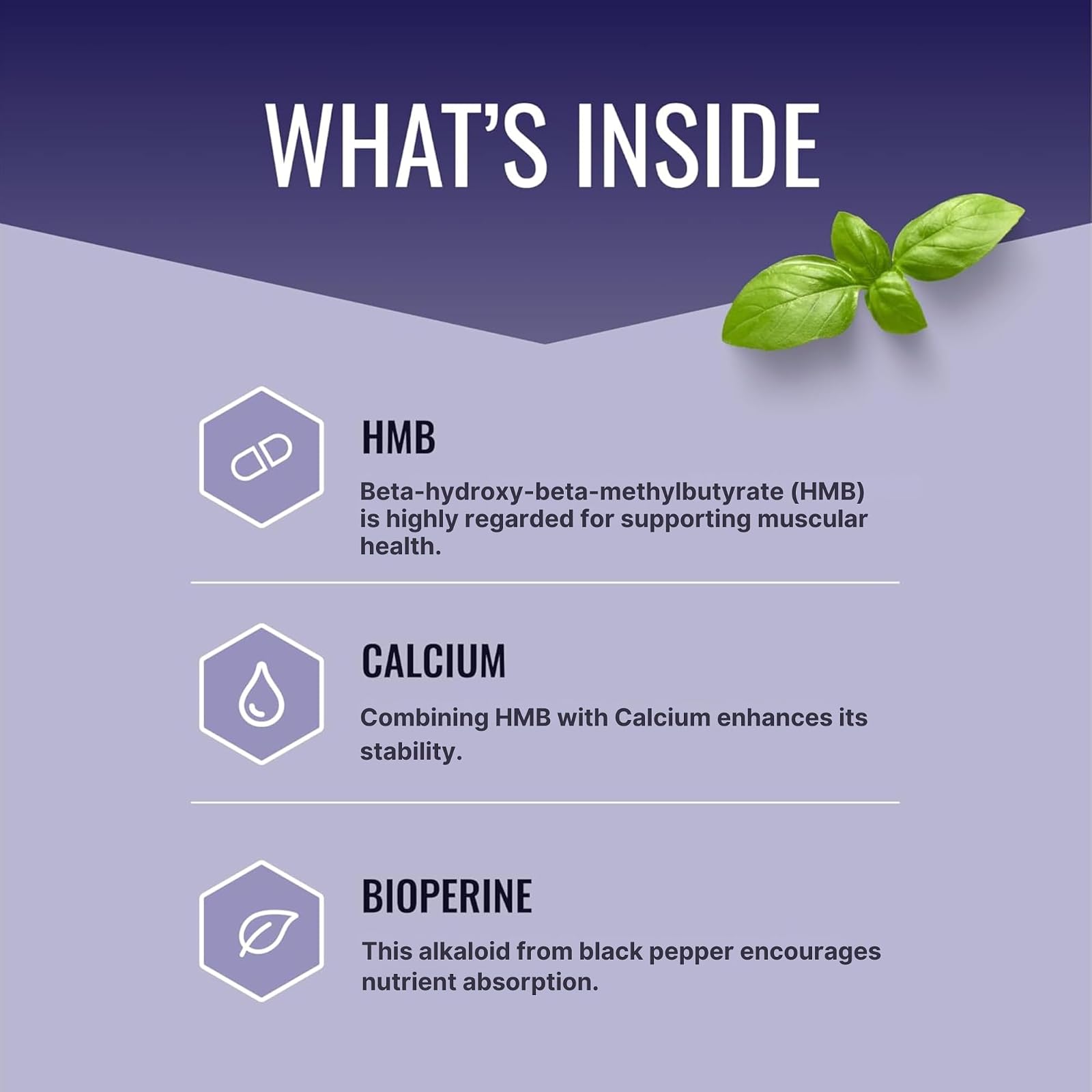 Vegan multivitamins for active lifestyle