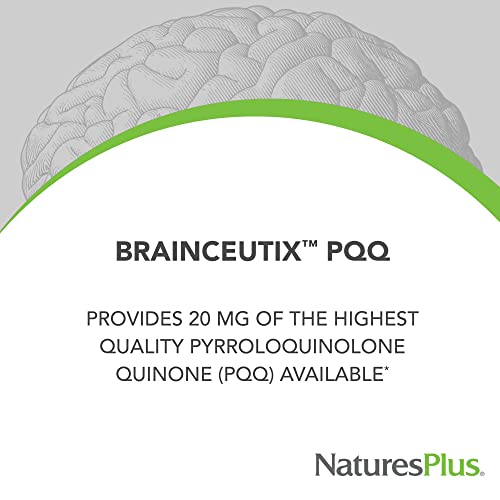 vegan multivitamins for brain health