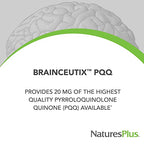 vegan multivitamins for brain health