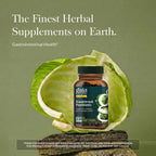 vegan multivitamins for daily health