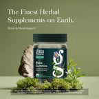 Vegan multivitamins for daily wellness