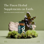 vegan multivitamins for energy boost