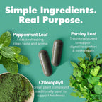 vegan multivitamins with chlorophyll benefits