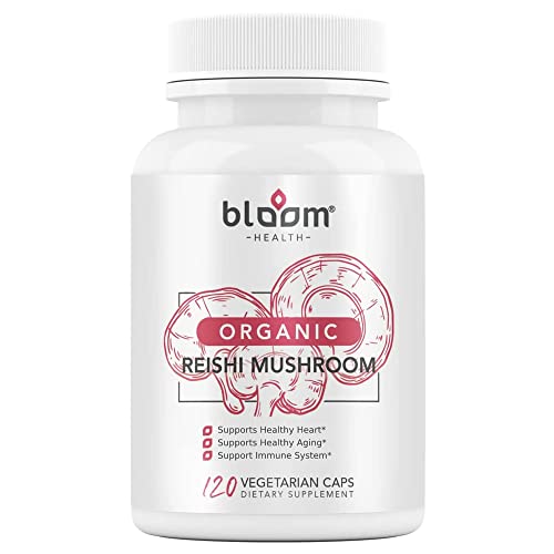 vegan mushroom capsules for energy boost