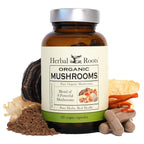 vegan mushroom capsules for wellness