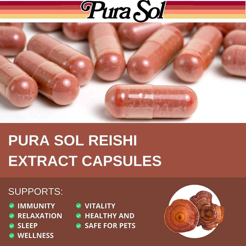 Vegan mushroom capsules for wellness
