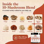vegan mushroom coffee creamer alternative