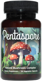 vegan mushroom complex capsules