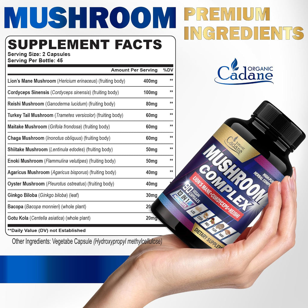 Vegan mushroom complex for energy support