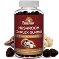 Vegan mushroom complex gummies benefits
