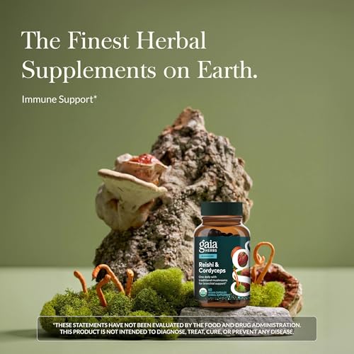 vegan mushroom complex supplement